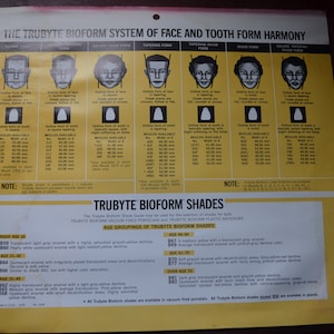 1960s Trubyte Mould Guide Prosthetic Dentist Display With Flyers ...