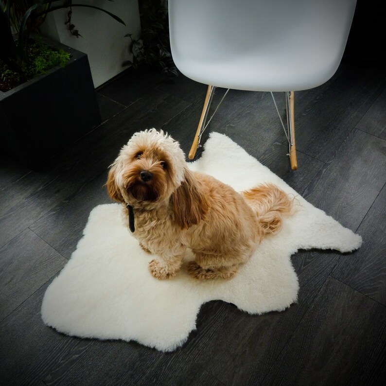 Limited Edition Short Fur Sheepskin Shearling Rug or Chair - Etsy UK