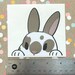 Bunny Peeker Stickers Dutch Rabbit Brown Spotted Bunny White Rabbit Car ...