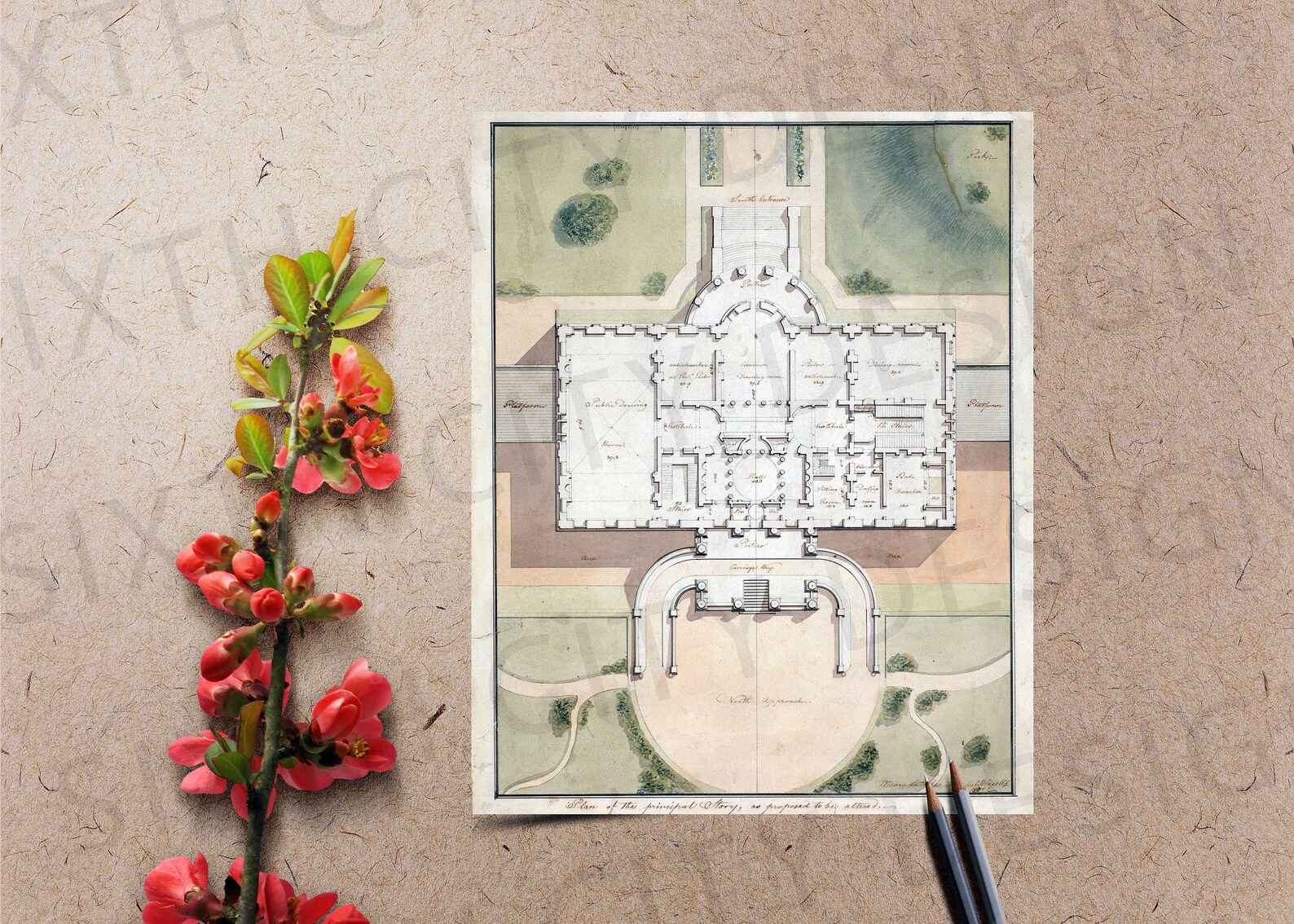 1803 White House Architectural Drawing - Benjamin Latrobe Architectural ...