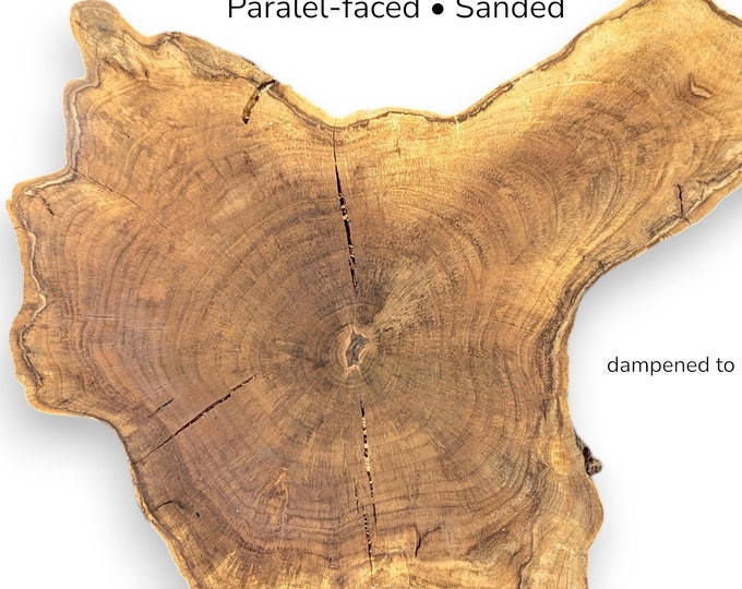 11. Live Edge English Walnut Root Slice, Planed, Parallel-faced, Sanded ...