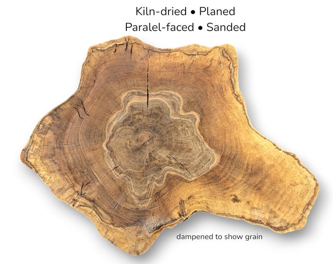 1. Live Edge English Walnut Root Slice, Planed, Parallel-faced, Sanded ...
