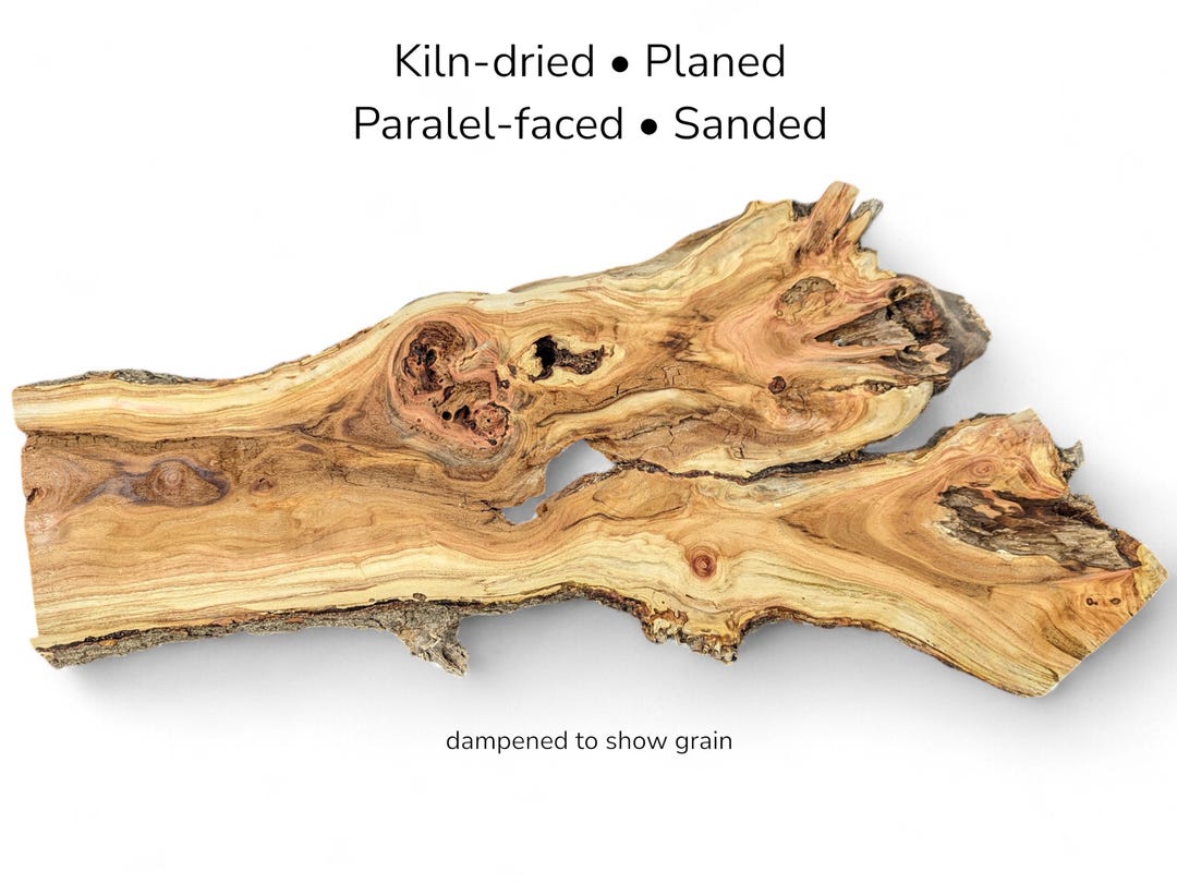 7. Live Edge Honey Locust Root Slice, Planed, Parallel-faced, Sanded ...