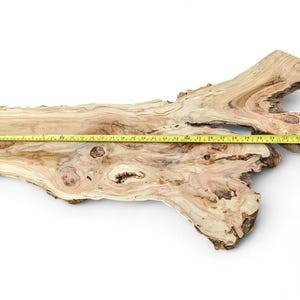 5. Live Edge Honey Locust Root Slice, Planed, Parallel-faced, Sanded ...
