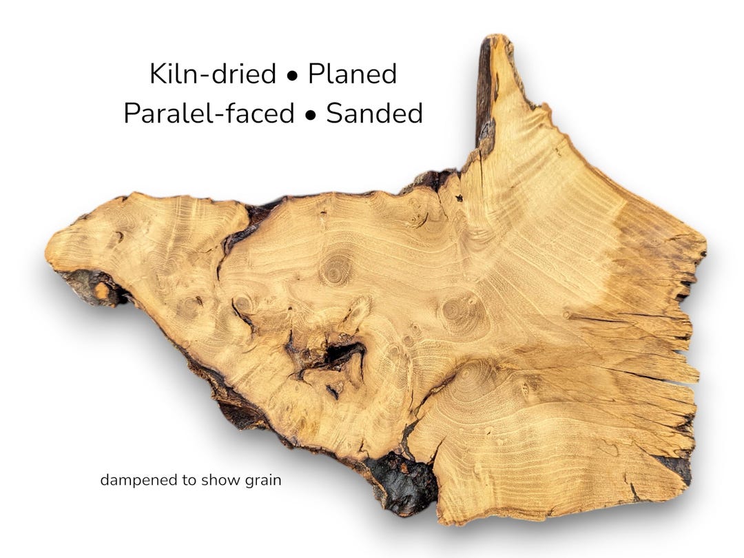 7. Live Edge Black Locust Root Slice, Planed, Parallel-faced, Sanded ...