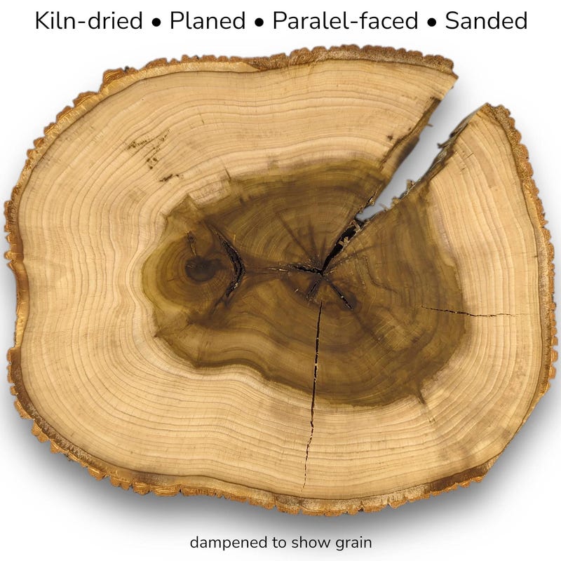 Log Slice With Bark - Etsy