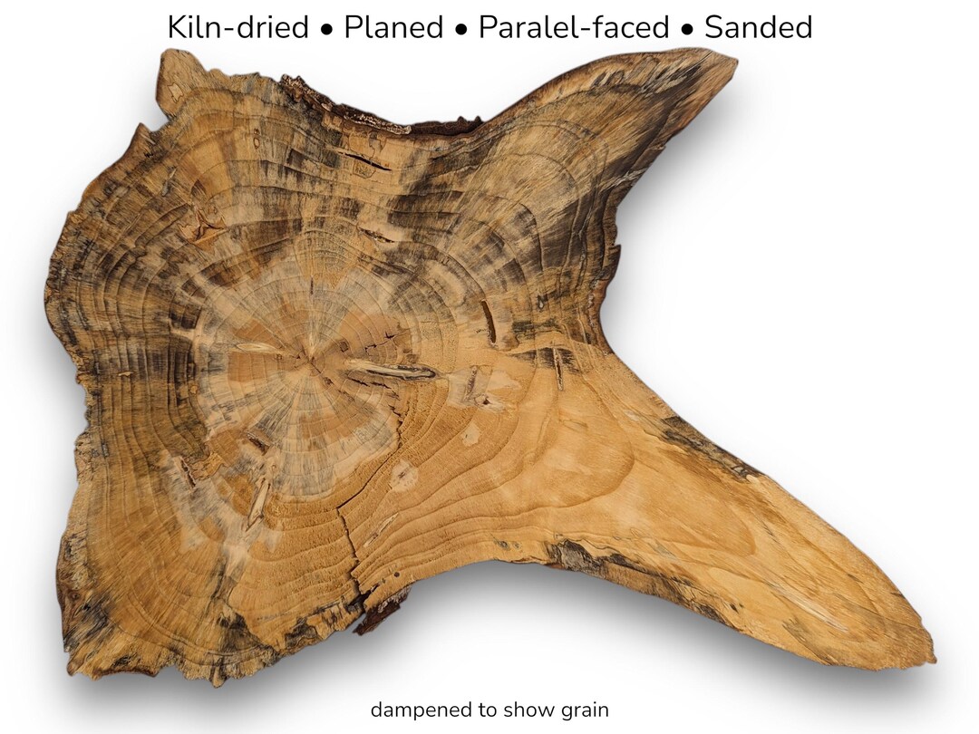 Live Edge Pine Type Tree Root Wood Slice for Epoxy Resin Projects or ...