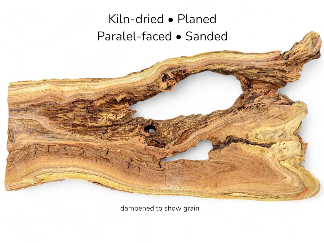 6. Live Edge Honey Locust Root Slice, Planed, Parallel-faced, Sanded ...