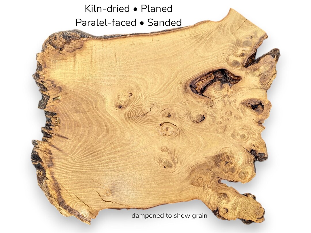 5. Live Edge Black Locust Root Wood Slice, Planed, Parallel-faced ...