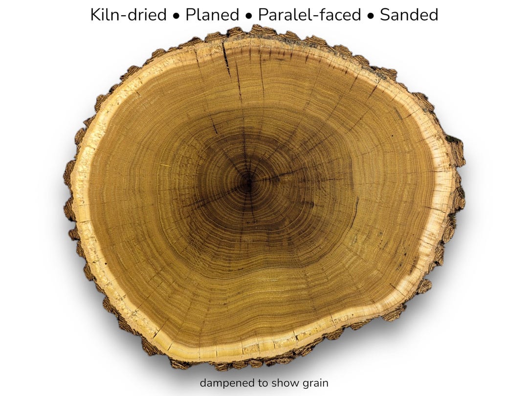 Live Edge Wood Round With Bark, Natural Tree Slice, End Grain Cookie ...