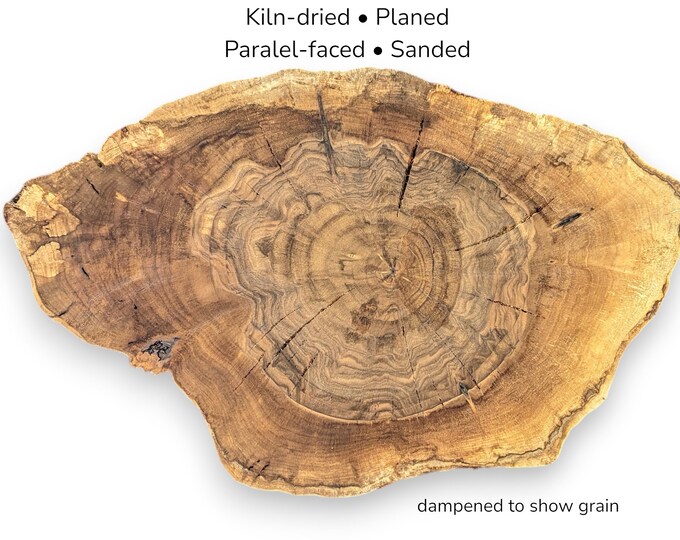 Live Edge English Walnut Root Wood Slice for Epoxy Resin Project or ...