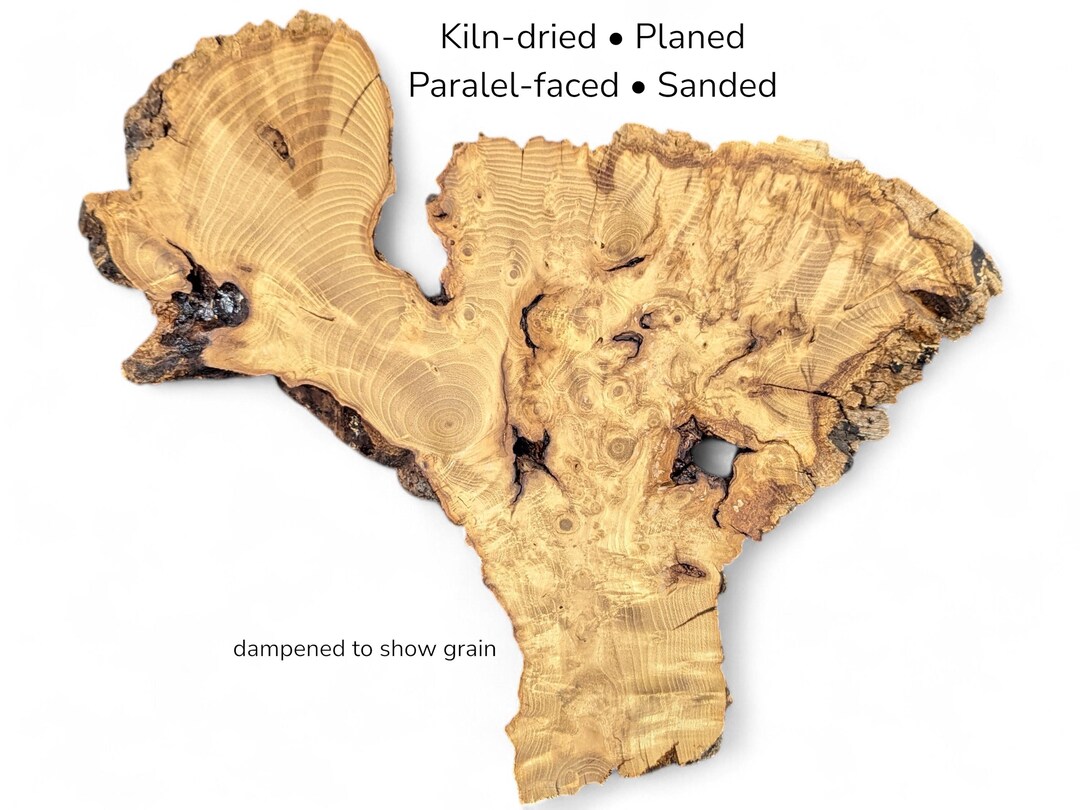 4. Live Edge Black Locust Root Wood Slice, Planed, Parallel-faced ...