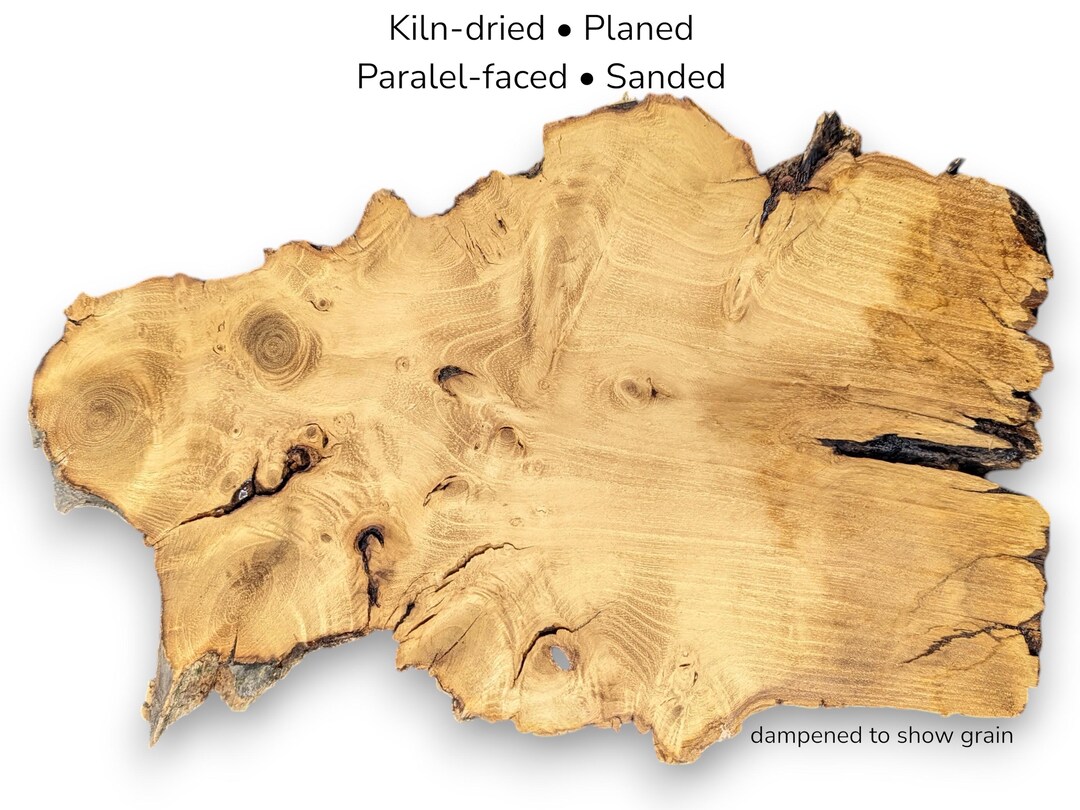 3. Live Edge Black Locust Root Wood Slice, Planed, Parallel-faced ...