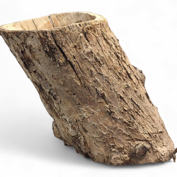 Log Vase - Etsy