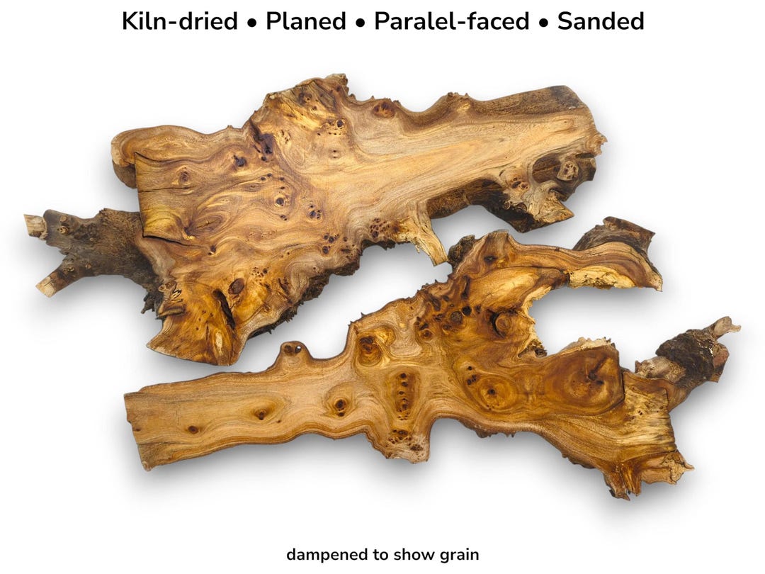 Conjunto de placas de madeira maciça com borda natural para arte em ...