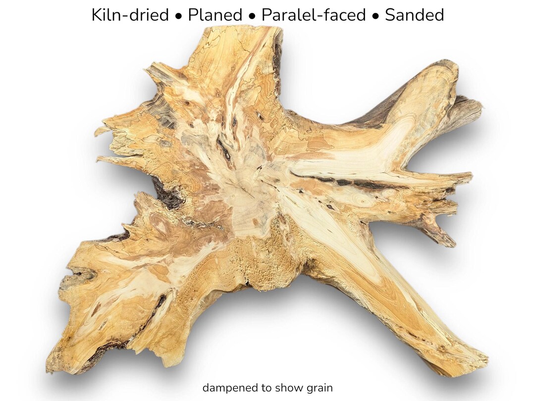 Live Edge Pine Type Tree Root Wood Slice for Epoxy Resin Projects or ...
