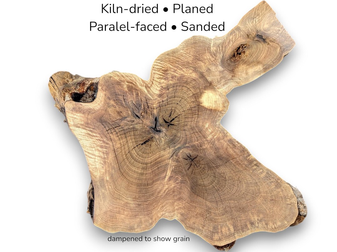 5. Live Edge English Walnut Root Slice, Planed, Parallel-faced, Sanded ...