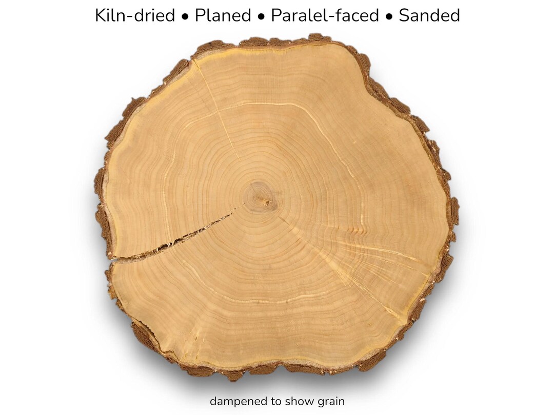 Rustic Live Edge Wood Round With Bark, Natural Tree Slice, End Grain ...