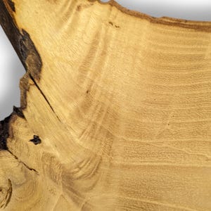 7. Live Edge Black Locust Root Slice, Planed, Parallel-faced, Sanded ...