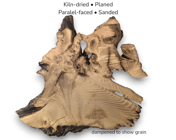 Live Edge Black Locust Root Wood Slice – for Epoxy Resin Project or ...