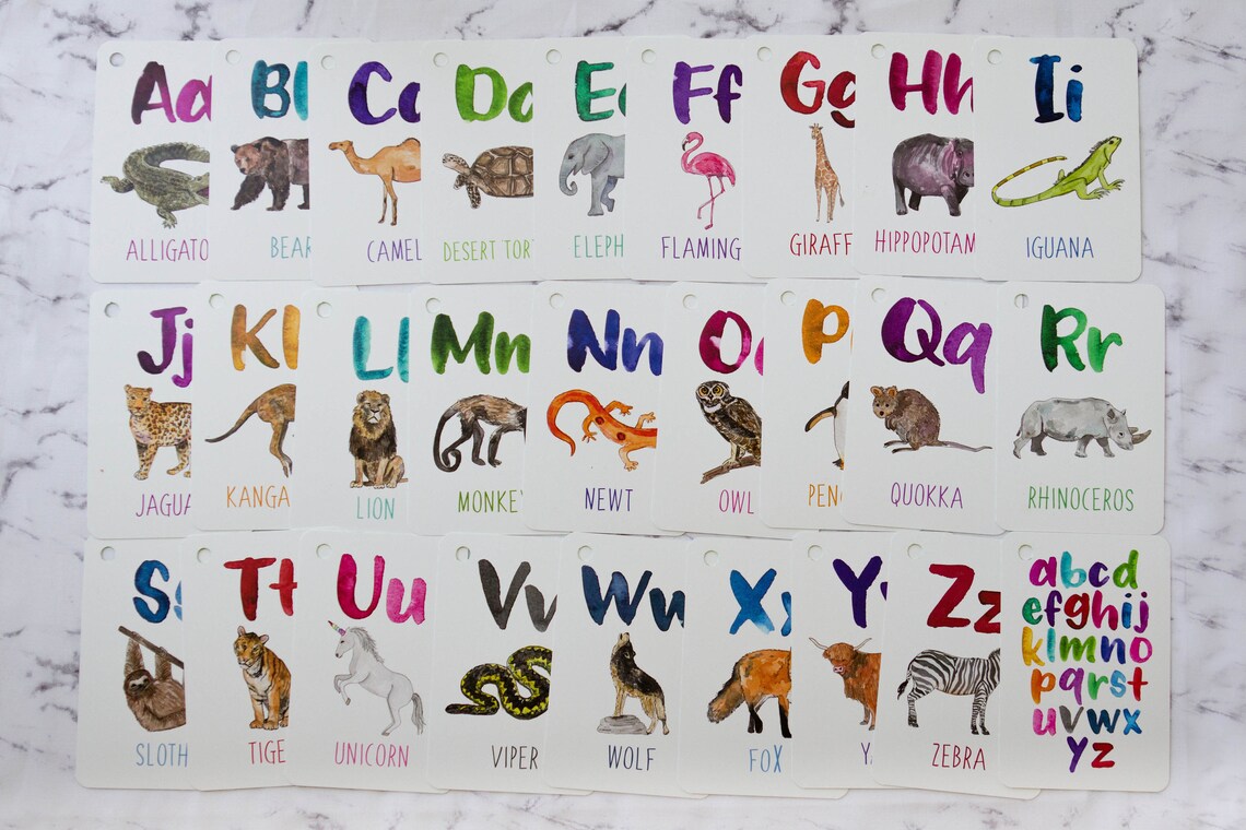 Zoo Animal Alphabet Flashcards - Etsy