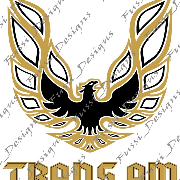 Trans Am Decal - Etsy