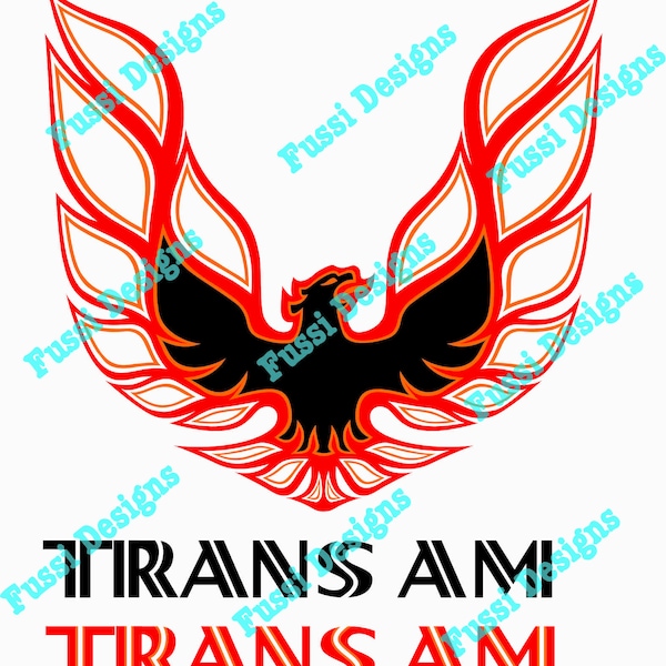Trans Am Decal - Etsy