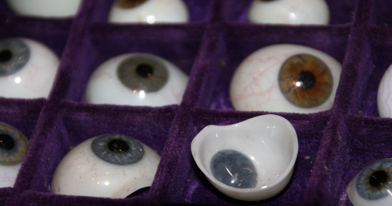 Vintage Human Glass Eye Prosthetic Realistic Medical Antiques Optical ...