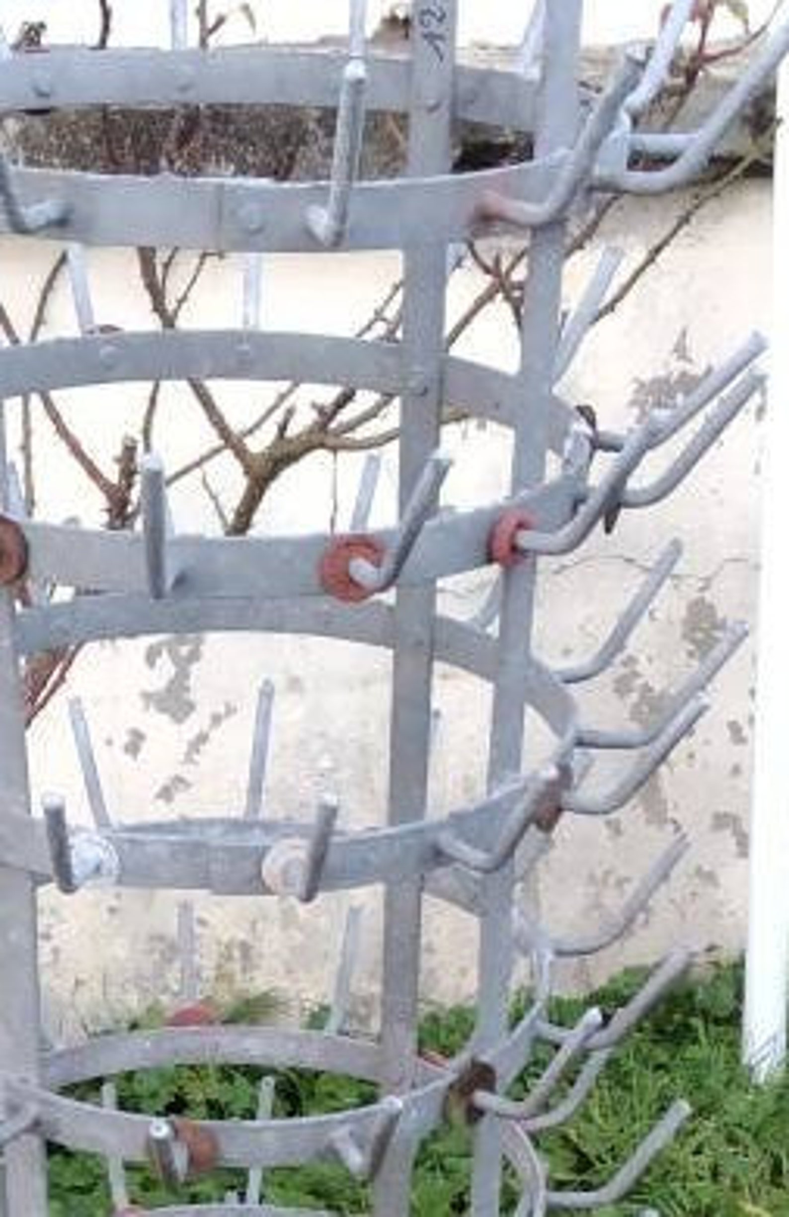 French Vintage Bottle Rack Bottle Dryer Mug Rack Cup Rack - Etsy