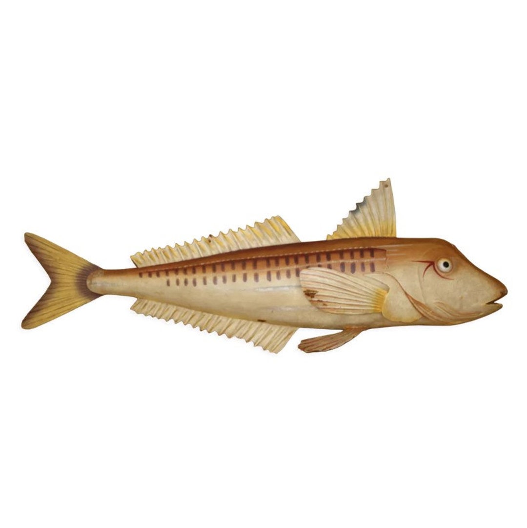 Fish Wall Art Coastal House Beach Fisherman Ocean Wall Decor Sailfish ...