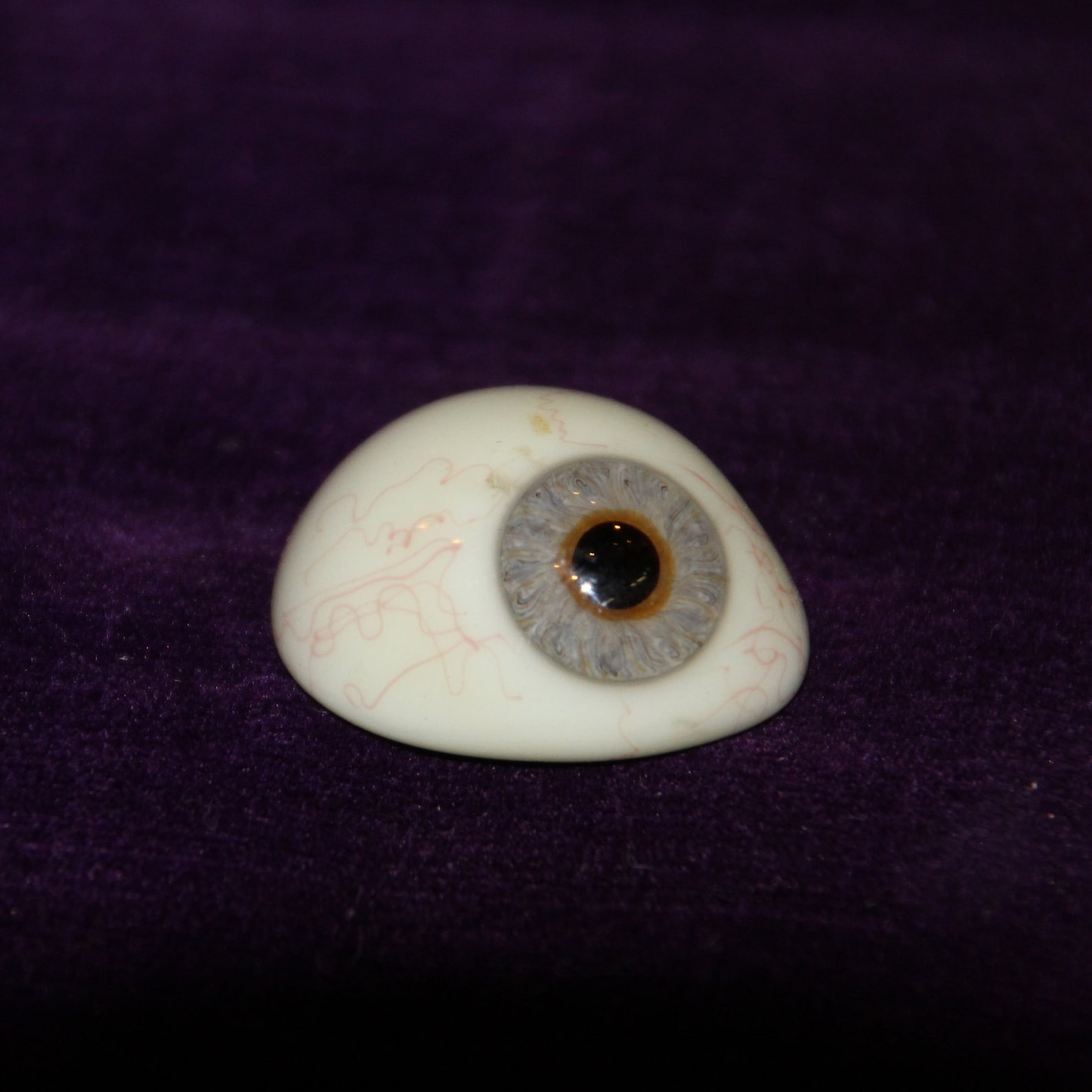 Vintage Human Glass Eye Prosthetic Realistic Medical Antiques Optical ...
