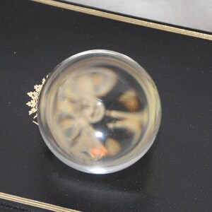 Fortune Teller Reading Crystal Ball Magic Scrying Ball Quartz Crystal ...