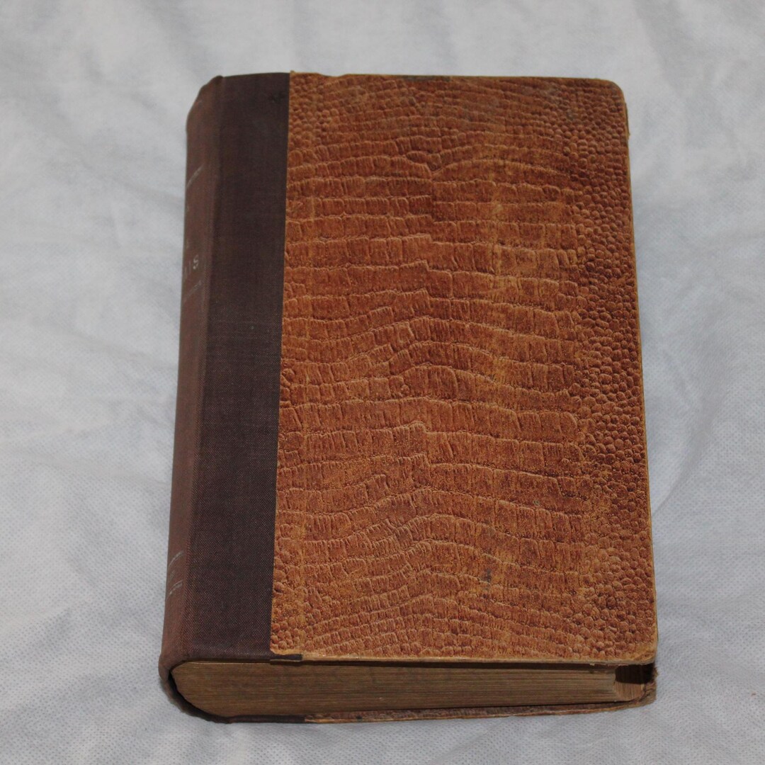 Dictionary Greek French Artbook Antique Book Decorative Gold Brown ...