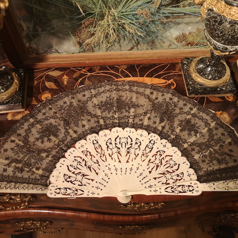 Lace Hand Fan - Etsy