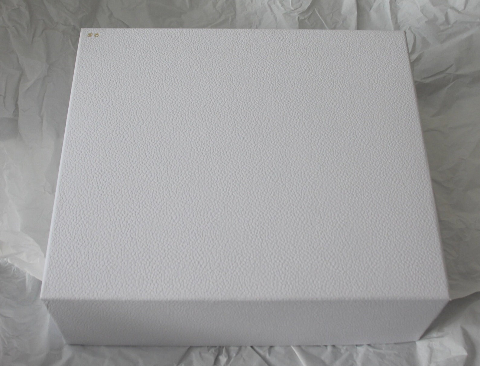 DIOR White Gift Box Fashion Accessories Storage Clothes Bag Gold ...
