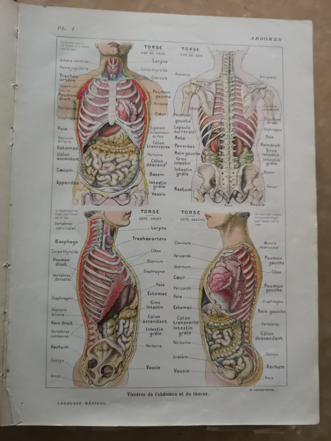 Ancien livre français Dictionnaire médical Anatomie Encyclopédie ...