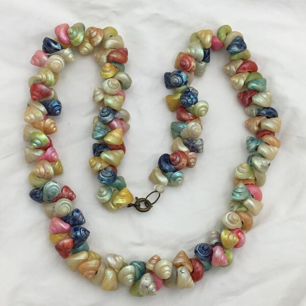 Trochus Shell - Etsy