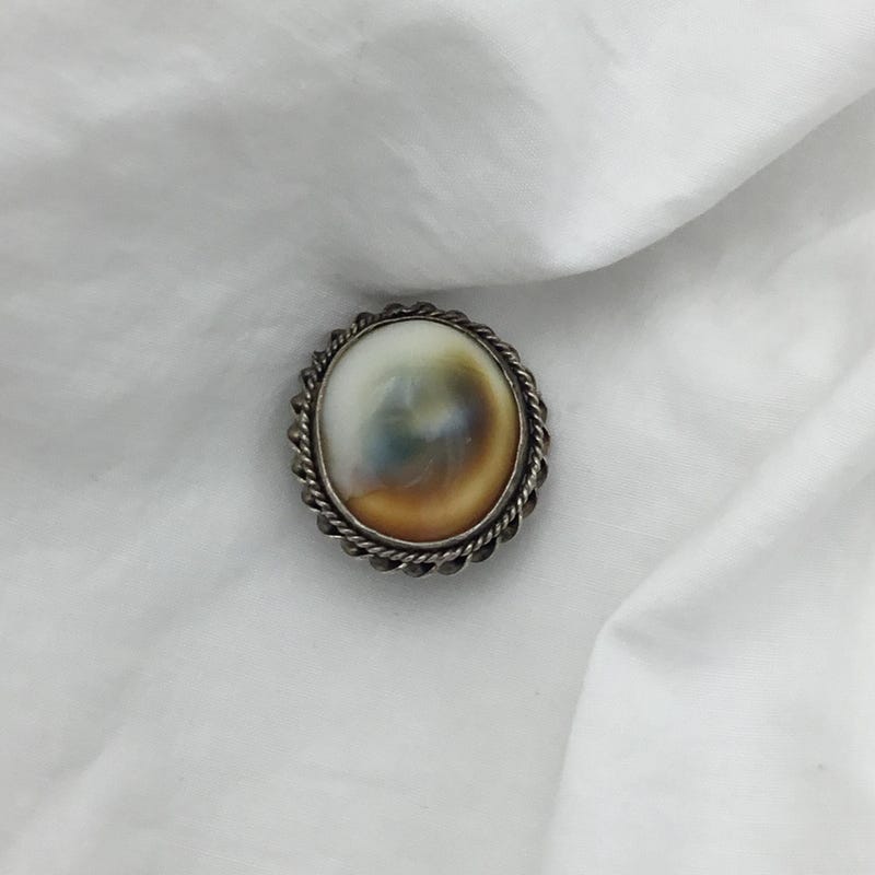 Operculum Shell - Etsy