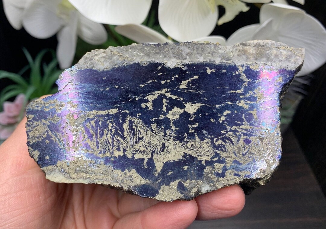 Extremely Rare XL Covellite Specimen Natural W/polished Face From Butte ...