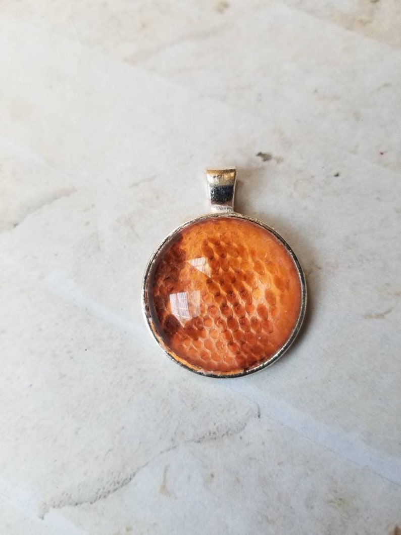 Snake Shed Jewelry Snake Shed Pendant Snakeskin Necklace | Etsy