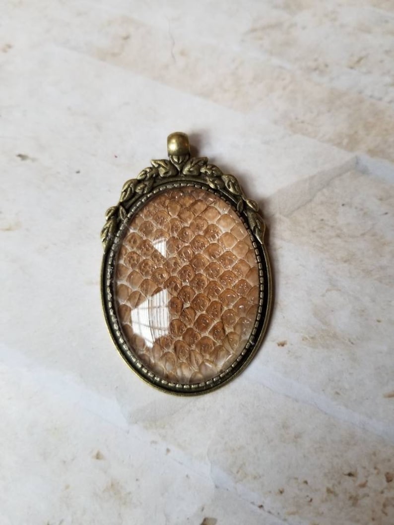 Snake Shed Jewelry, Snake Shed Pendant, Snakeskin Necklace, Cruelty ...
