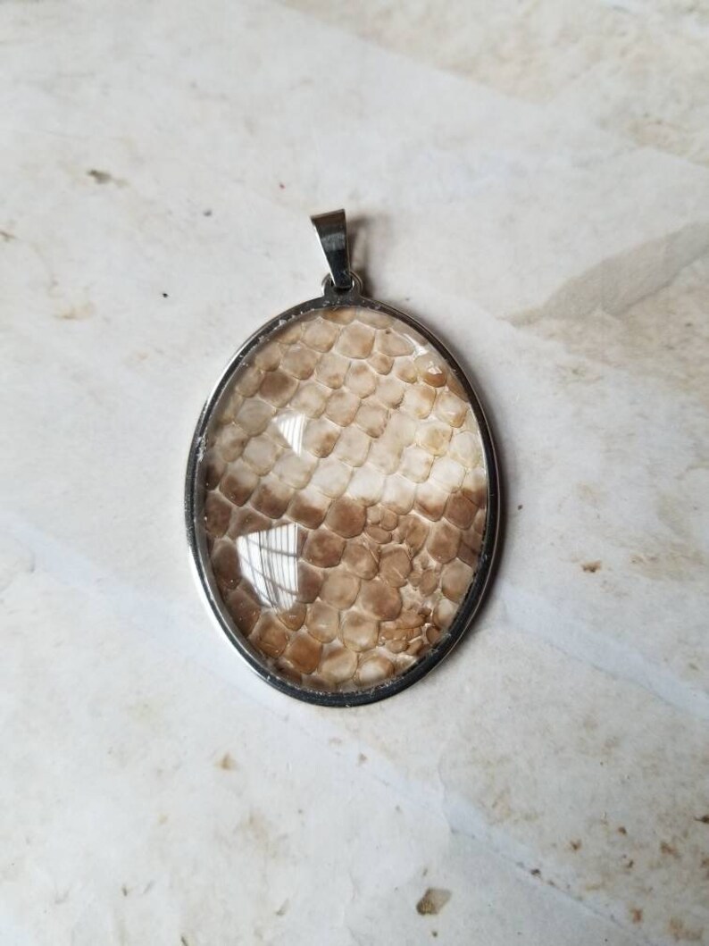 Snake shed jewelry snake shed pendant snakeskin necklace | Etsy