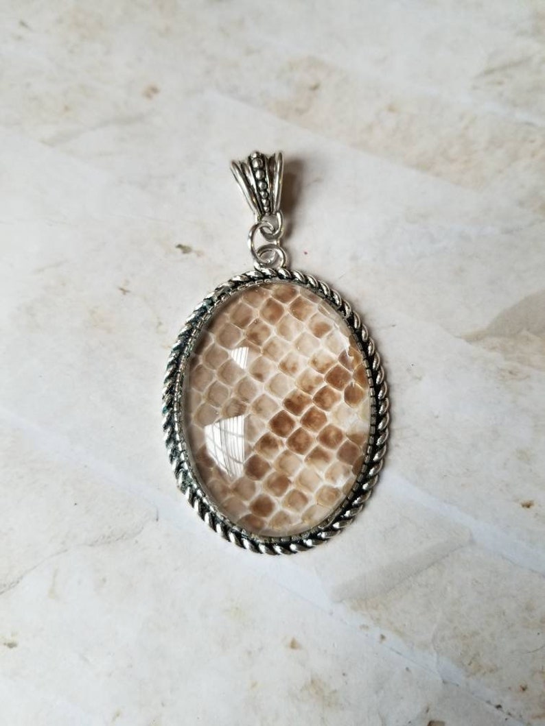 Snake Shed Jewelry, Snake Shed Pendant, Snakeskin Necklace, Cruelty ...