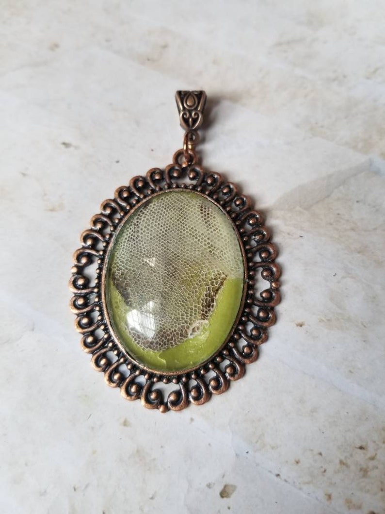 Snake Shed Jewelry Snake Shed Pendant Snakeskin Necklace | Etsy