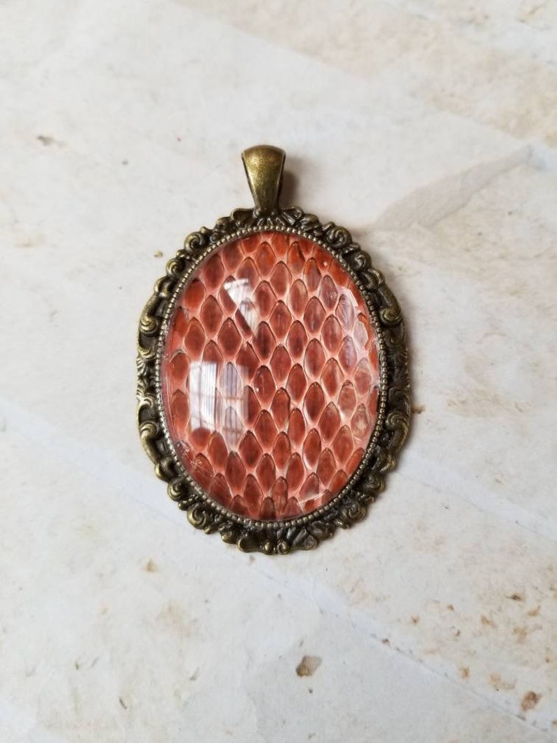 Snake Shed Jewelry Snake Shed Pendant Snakeskin Necklace - Etsy