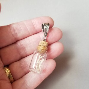 Snake rib vial pendant snake rib bottle pendant snake bones | Etsy
