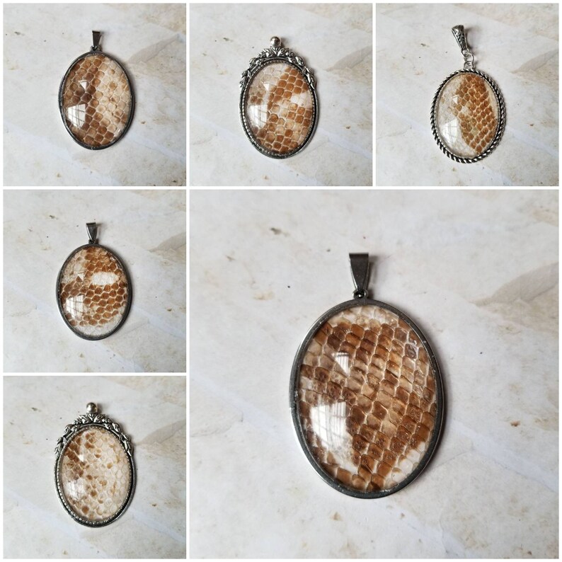 Snake shed jewelry snake shed pendant snakeskin necklace | Etsy