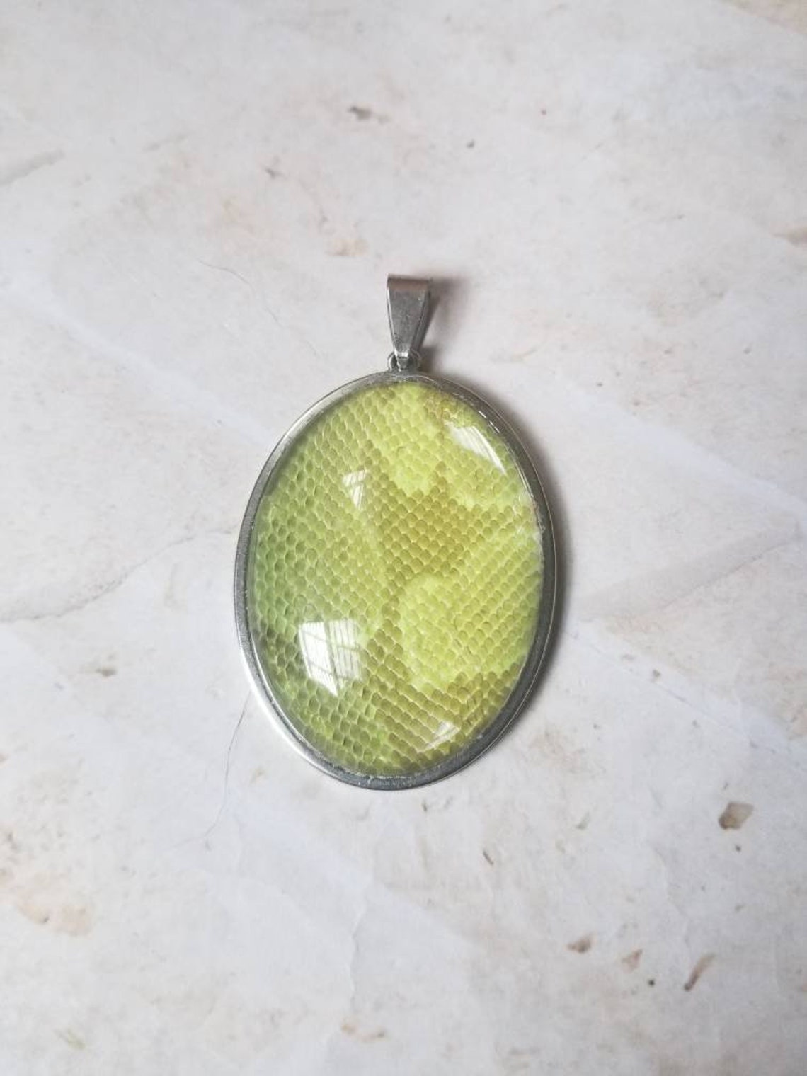 Snake Shed Jewelry Snake Shed Pendant Snakeskin Necklace - Etsy