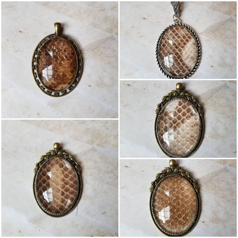 Snake Shed Jewelry, Snake Shed Pendant, Snakeskin Necklace, Cruelty ...