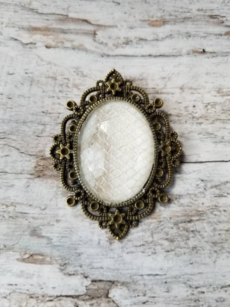 Snake Shed Jewelry, Snake Shed Pendant, Snakeskin Necklace, Cruelty ...